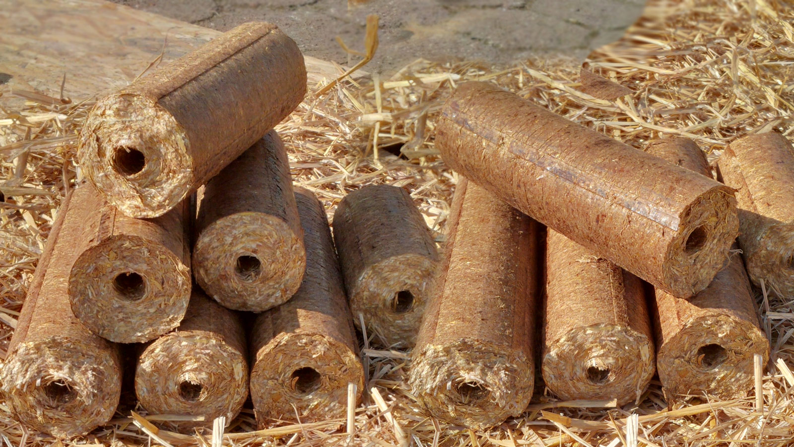 DAVICOR – Brichete din resturi vegetale